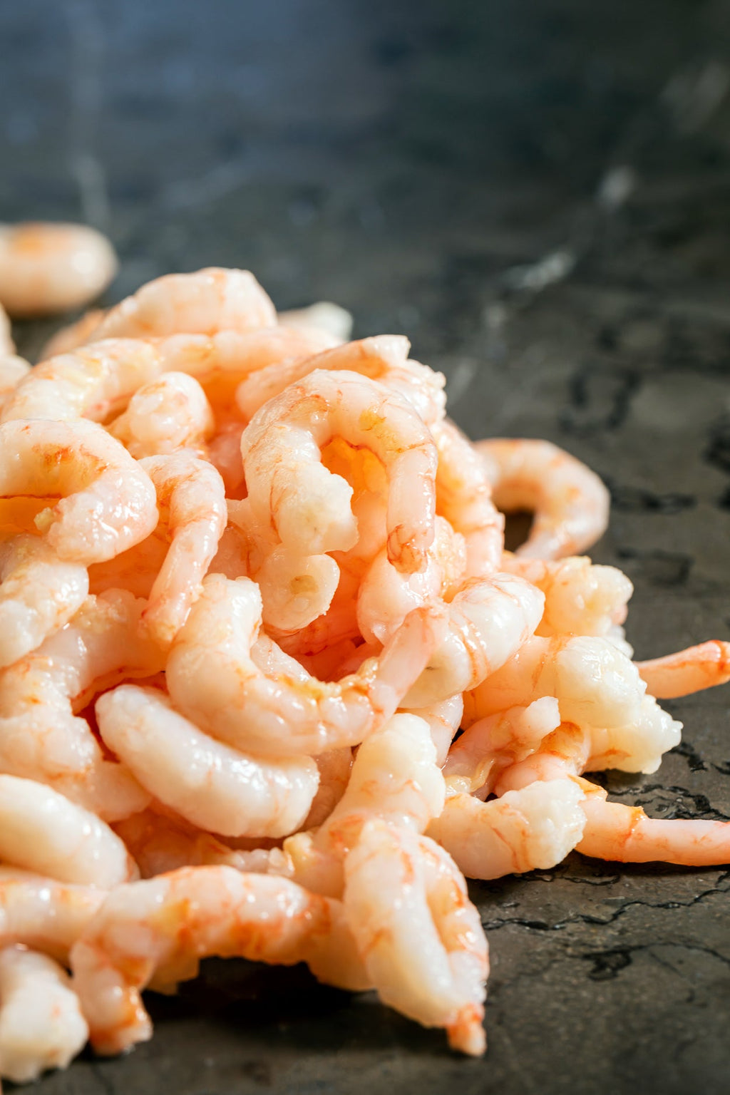 Shrimp - Toronto - CB Stealth (2024) – Fogo Island Fish