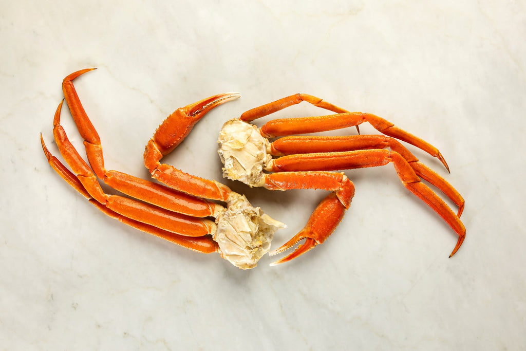 Crab - Toronto - CB Stealth (2023) – Fogo Island Fish